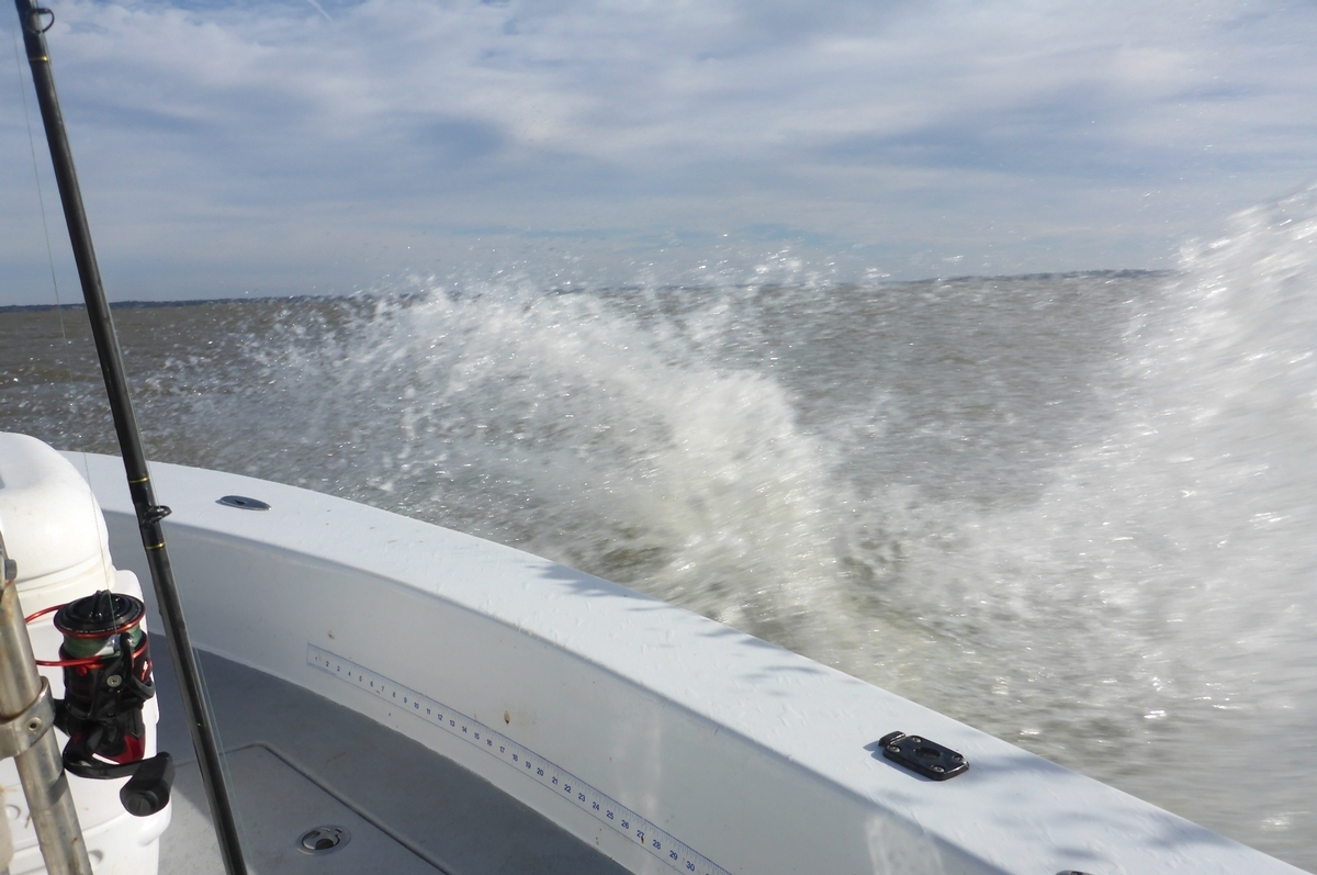 Lake Texoma Striper Fishing Guide Stephen Andre's viewpoint